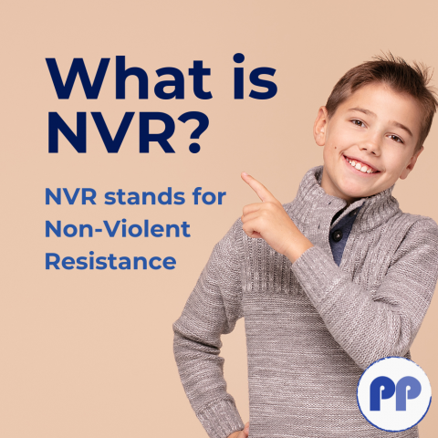 Information on NVR for Parents - PartnershipProjects UK